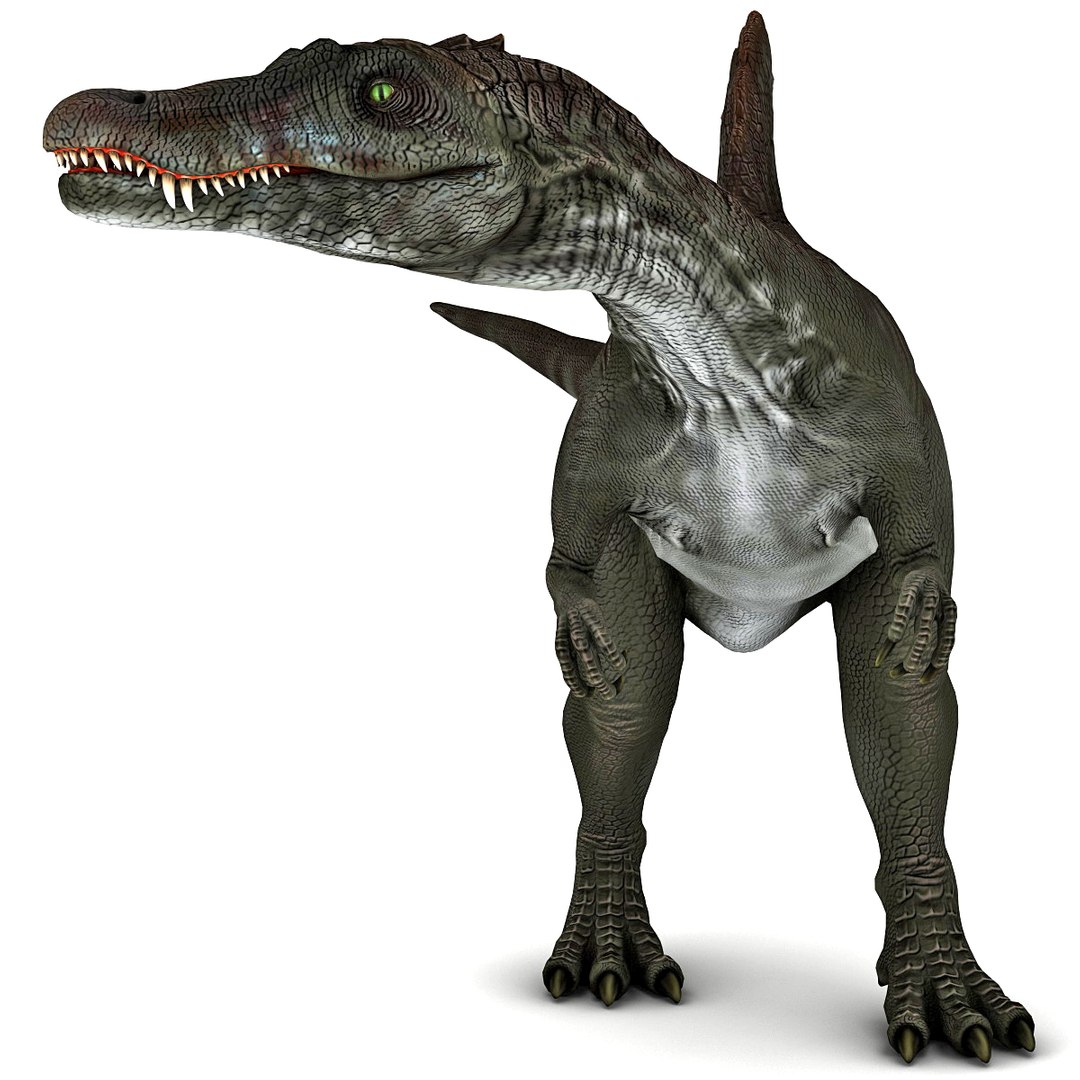 3d Spinosaurus Prehistoric Modelled Model