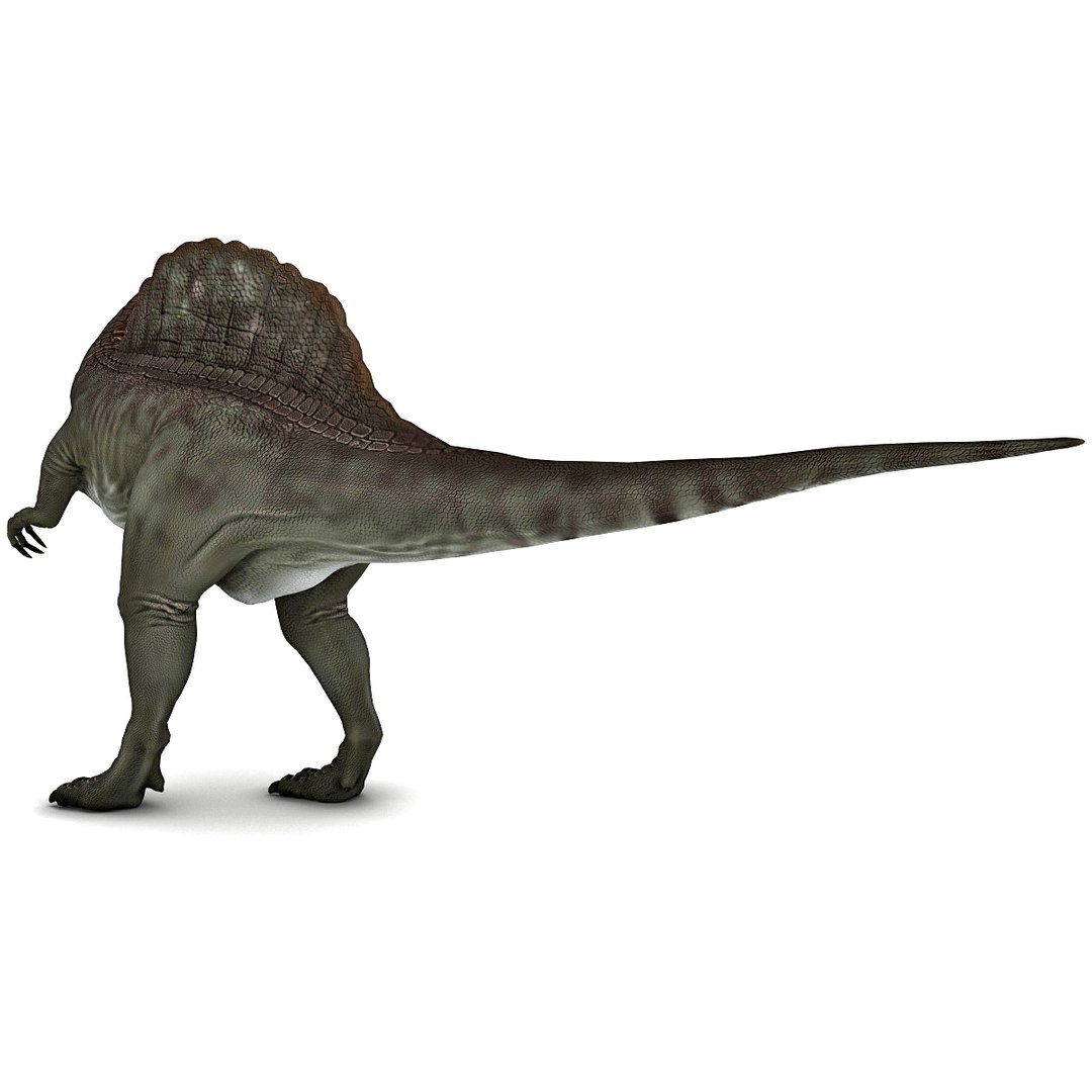 3d Spinosaurus Prehistoric Modelled Model