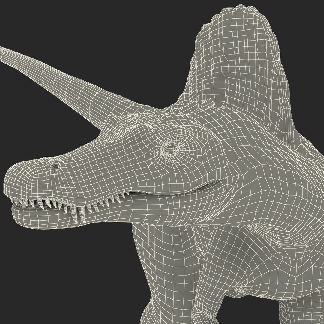 3d Spinosaurus Prehistoric Modelled Model
