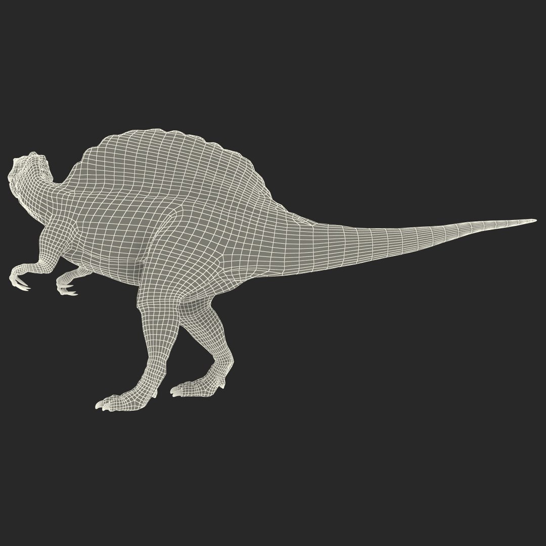 3d Spinosaurus Prehistoric Modelled Model