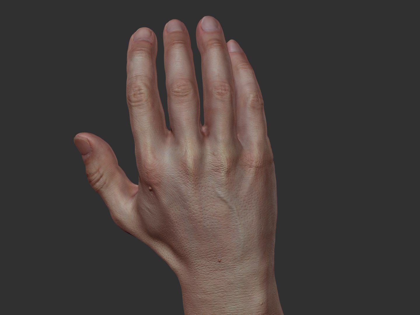3d Model Hand