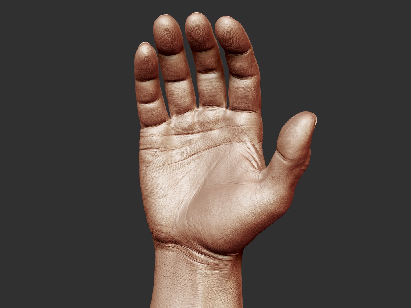 3d Model Hand