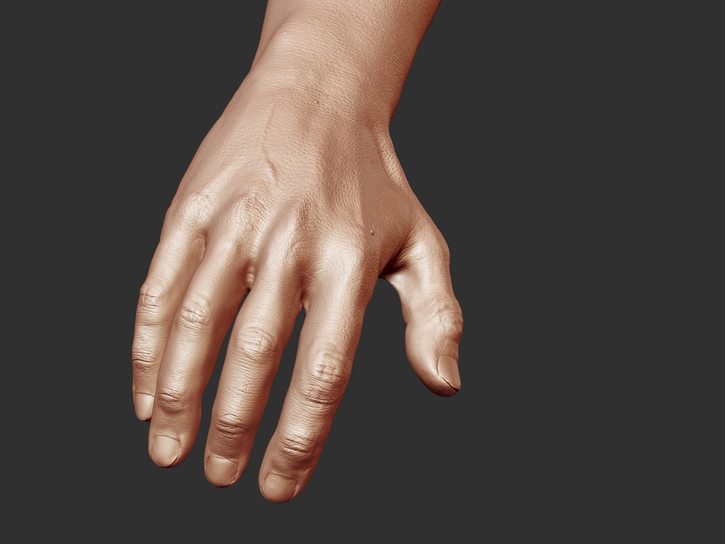 3d Model Hand