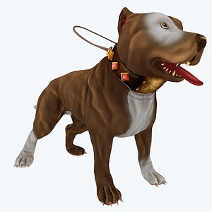 Free 3D Pitbull Dog Models - Available For Download On TurboSquid
