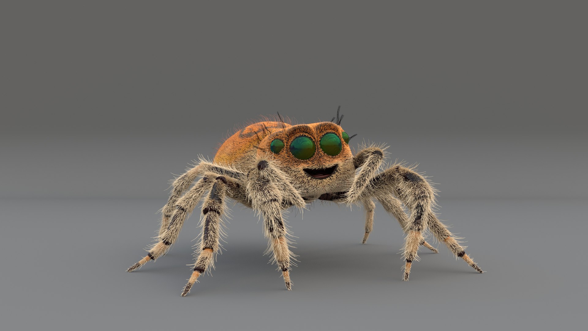 3D Spider FUR ANIMATED Model - TurboSquid 1962179