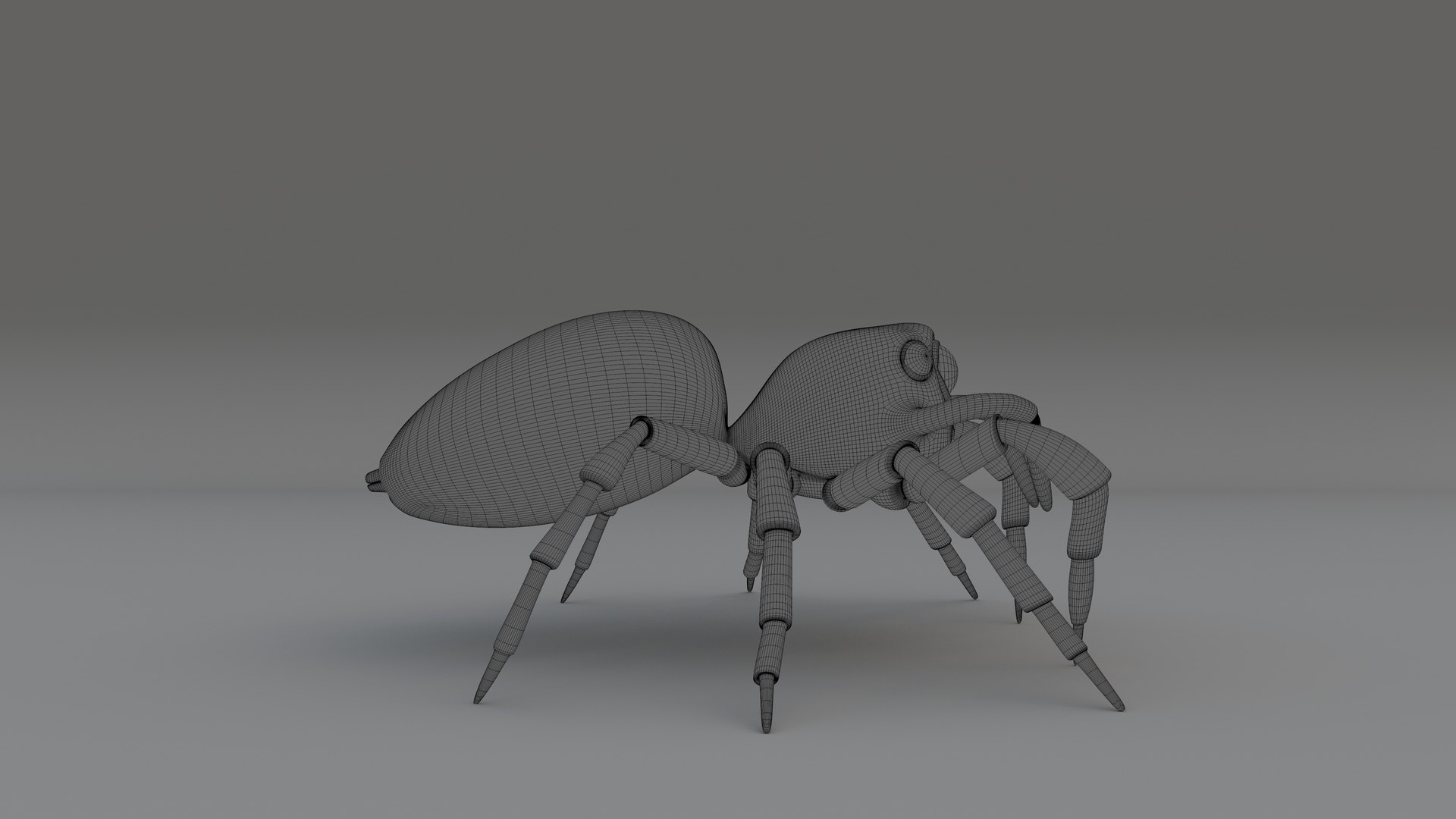 3D Spider FUR ANIMATED Model - TurboSquid 1962179