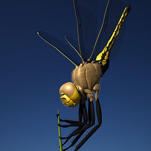 Invertebrate 3D Models for Download | TurboSquid
