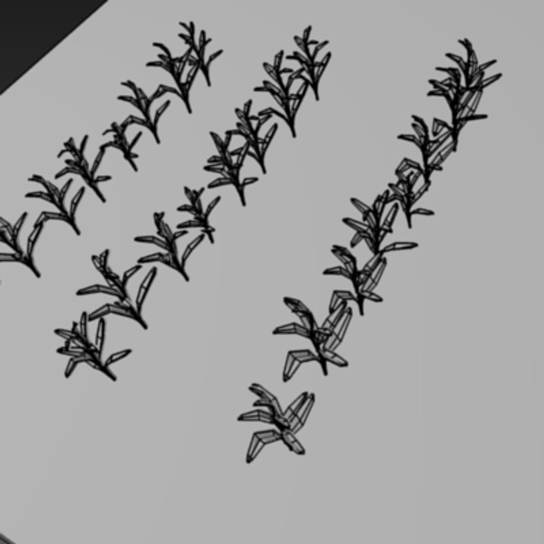 corn field 3d model