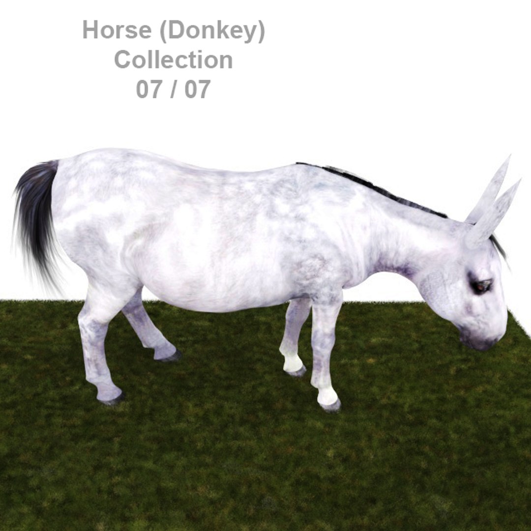3d Realistic Horse 07 - Model