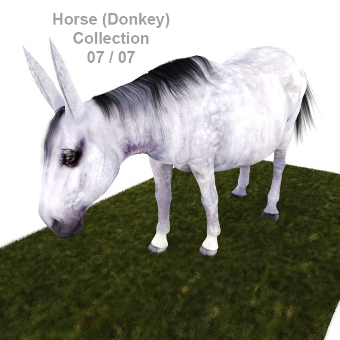 3d Realistic Horse 07 - Model