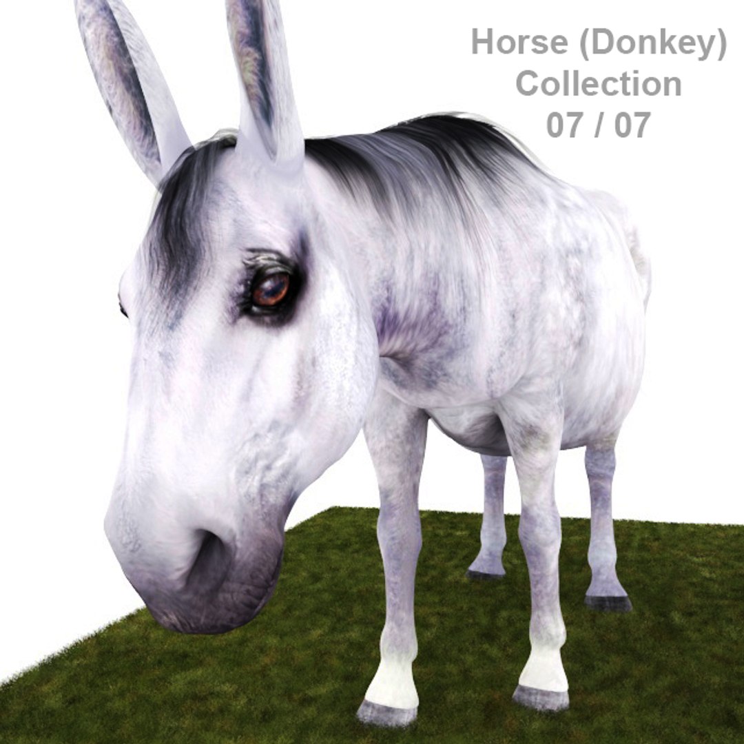 3d Realistic Horse 07 - Model