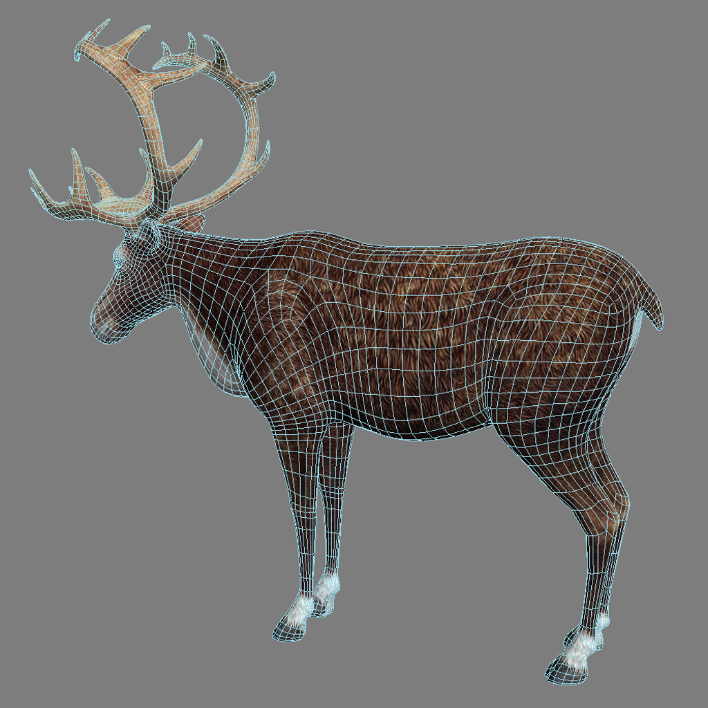 reindeer deer 3d max