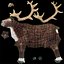 Reindeer Deer 3d Max