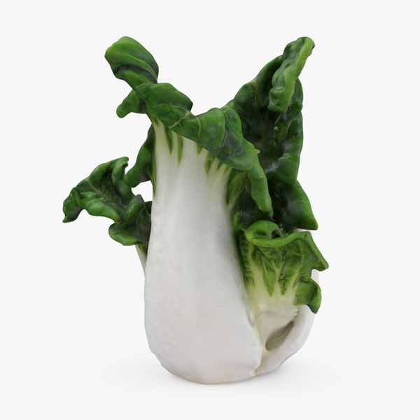 modelo 3d Bok Choy Blanco 02 - TurboSquid 2173063