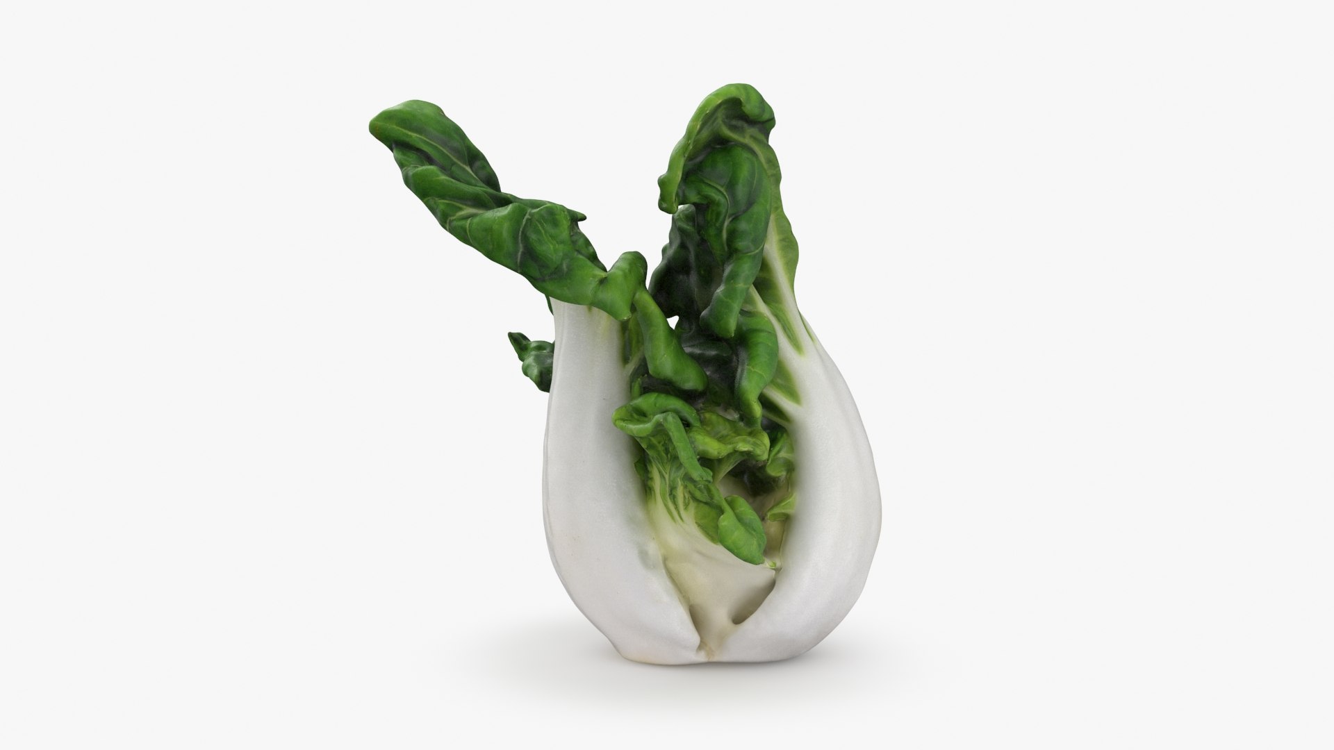 3D White Bok Choy 02 - TurboSquid 2173063