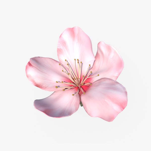modelo 3d Modelo Low-poly de flor de Sakura - TurboSquid 2262616