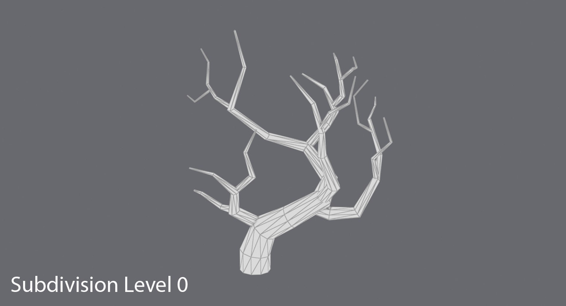 bare desert tree 02 3d model