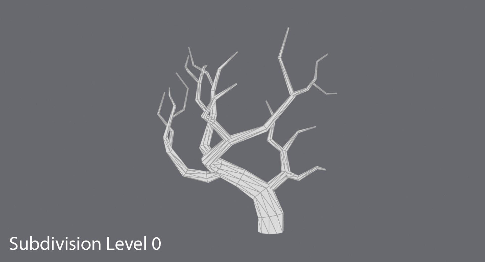 bare desert tree 02 3d model