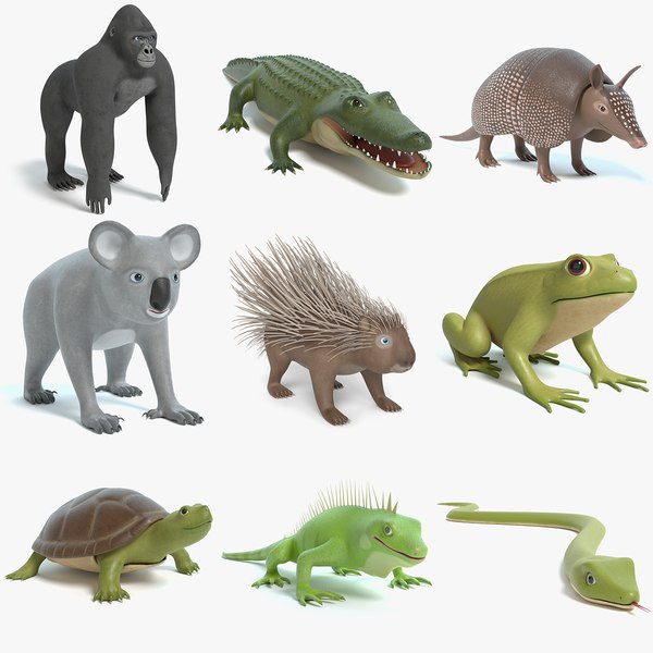 Cartoon Frog 3D Models for Download | TurboSquid