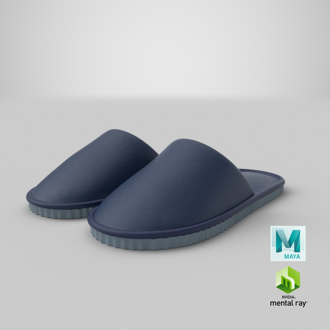 3D house slippers 01 | 1148885 | TurboSquid