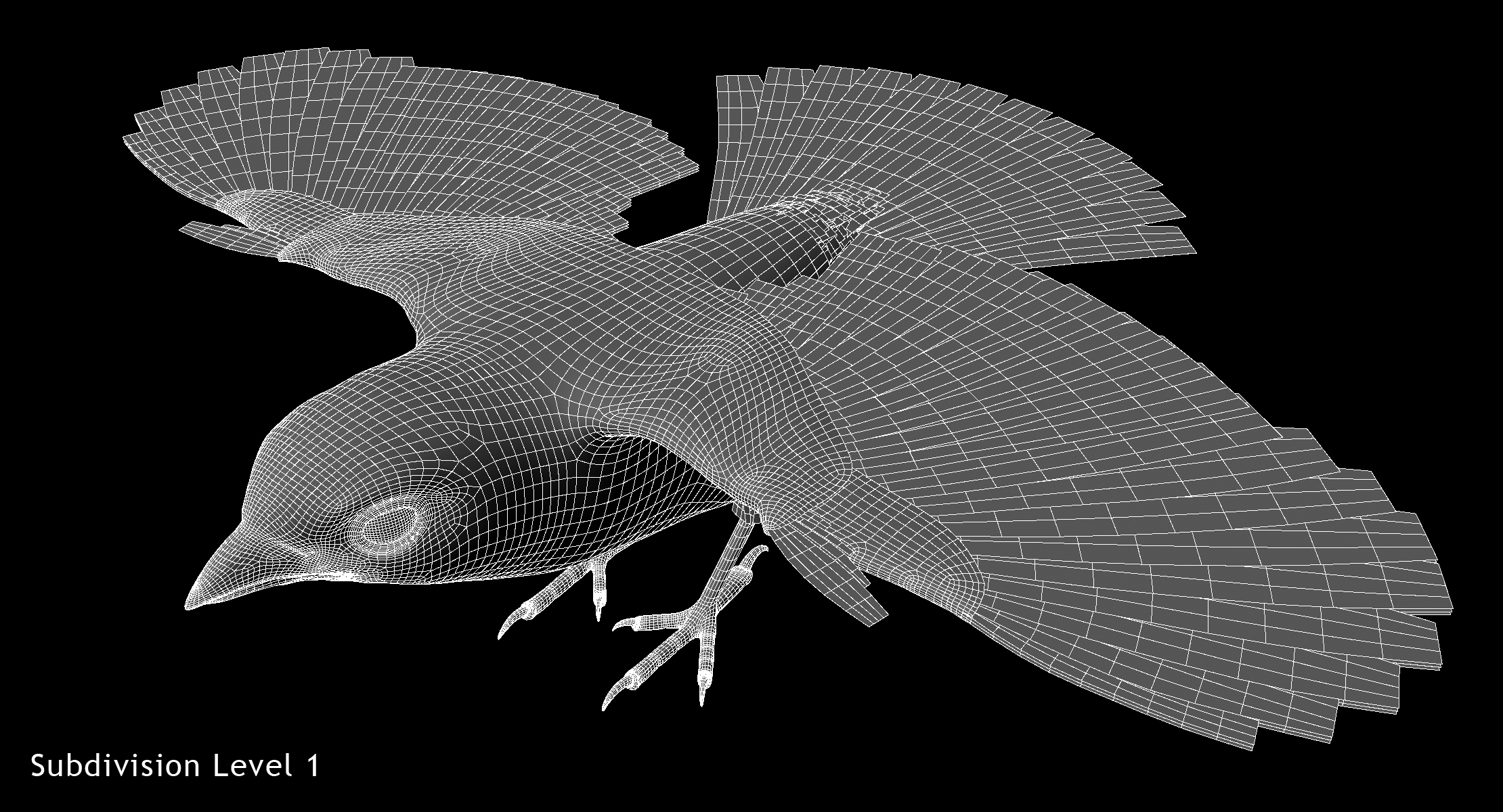 3D house sparrow animation model - TurboSquid 1386251