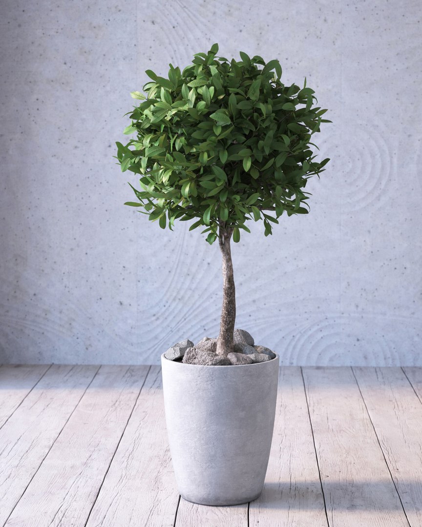 Archmodels Vol 268 3D Model - TurboSquid 2013278