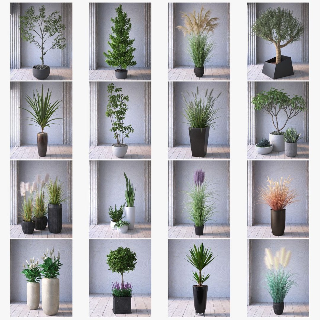 Archmodels Vol 268 3D Model - TurboSquid 2013278