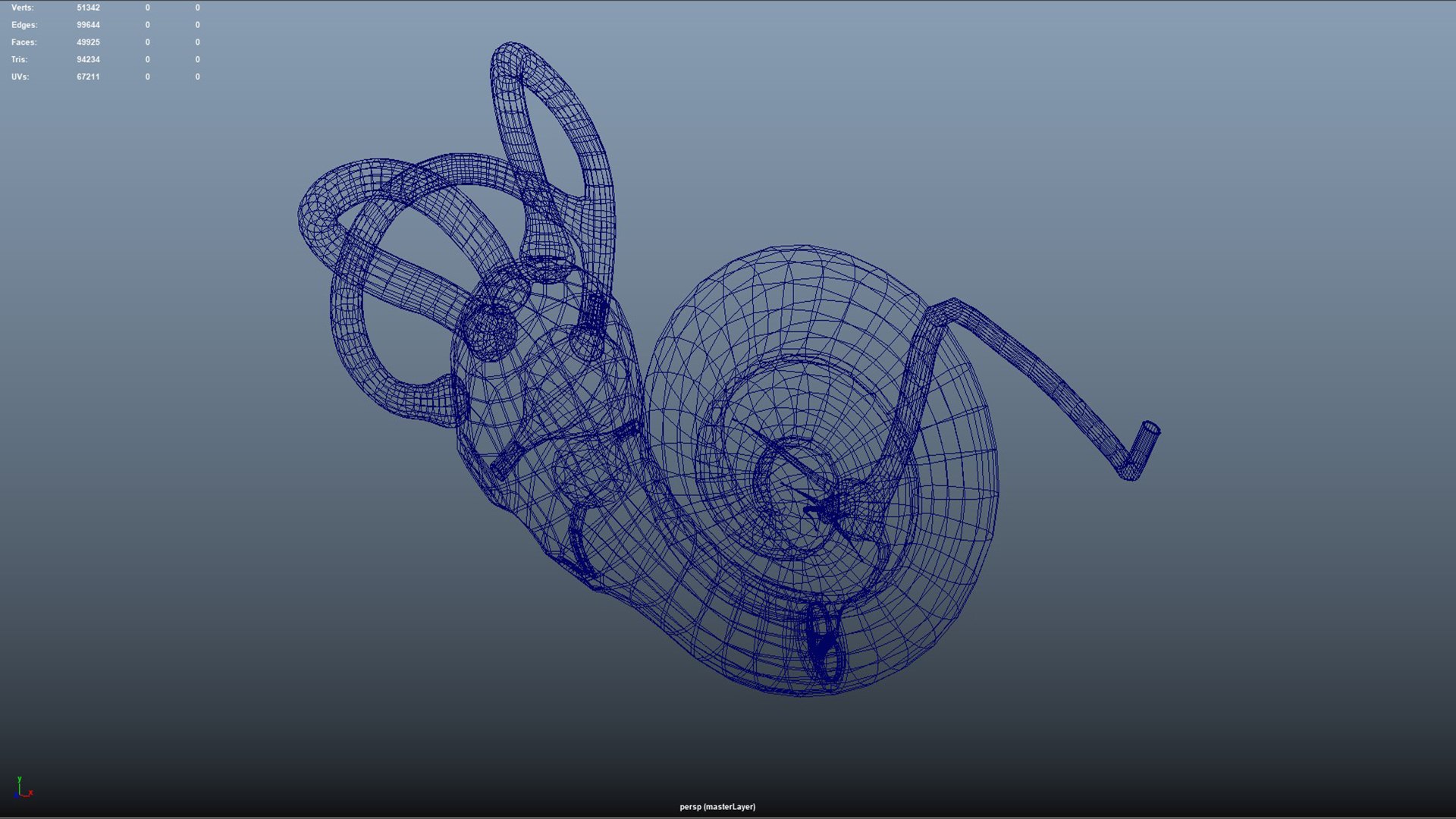 3D Human Ear Cochlea Section Model - TurboSquid 2190651