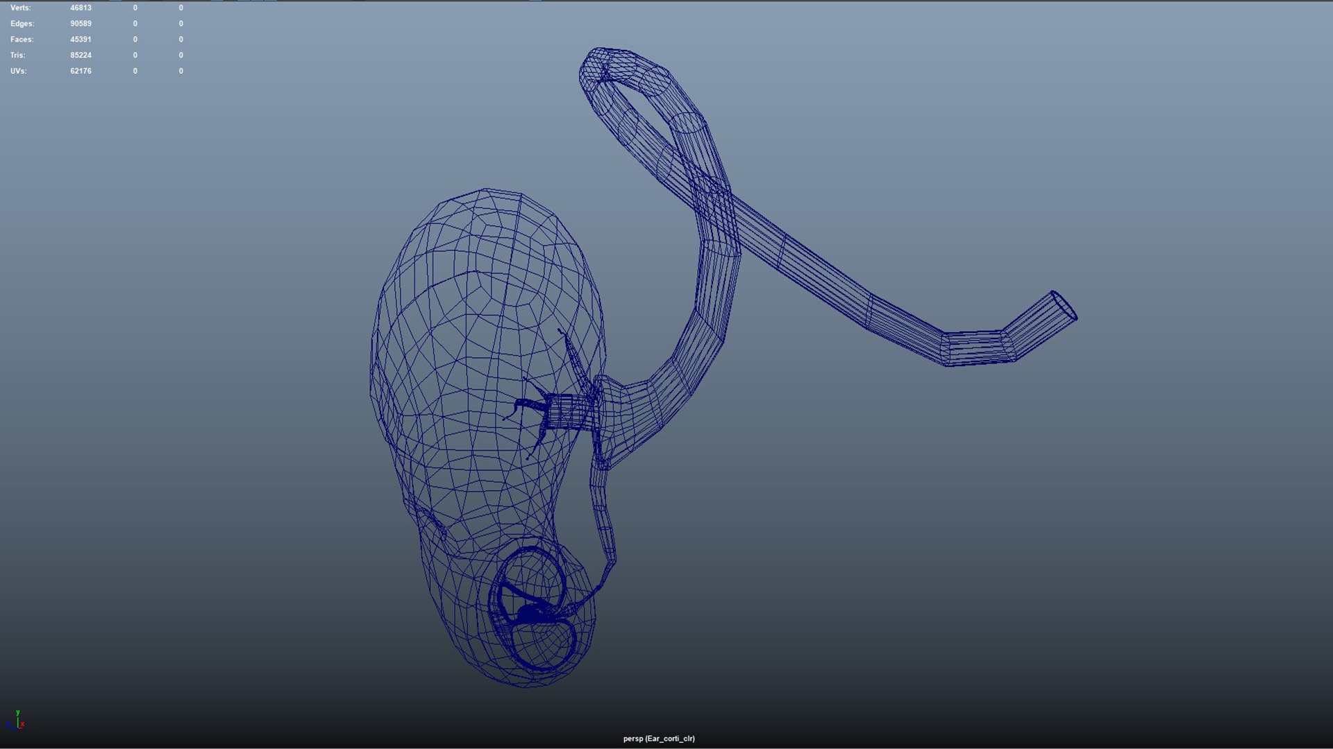 3D Human Ear Cochlea Section Model - TurboSquid 2190651