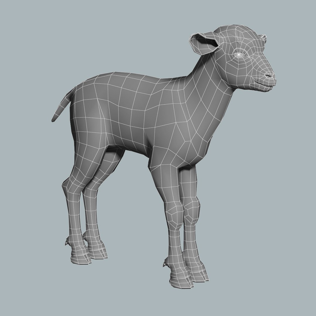 3d Baby Goat Model