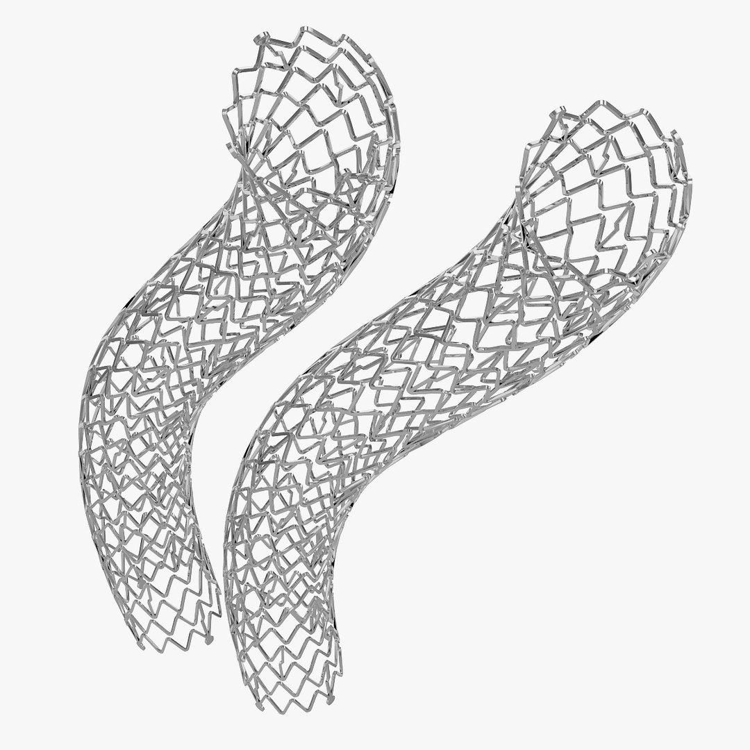 3ds Max Stent Medical