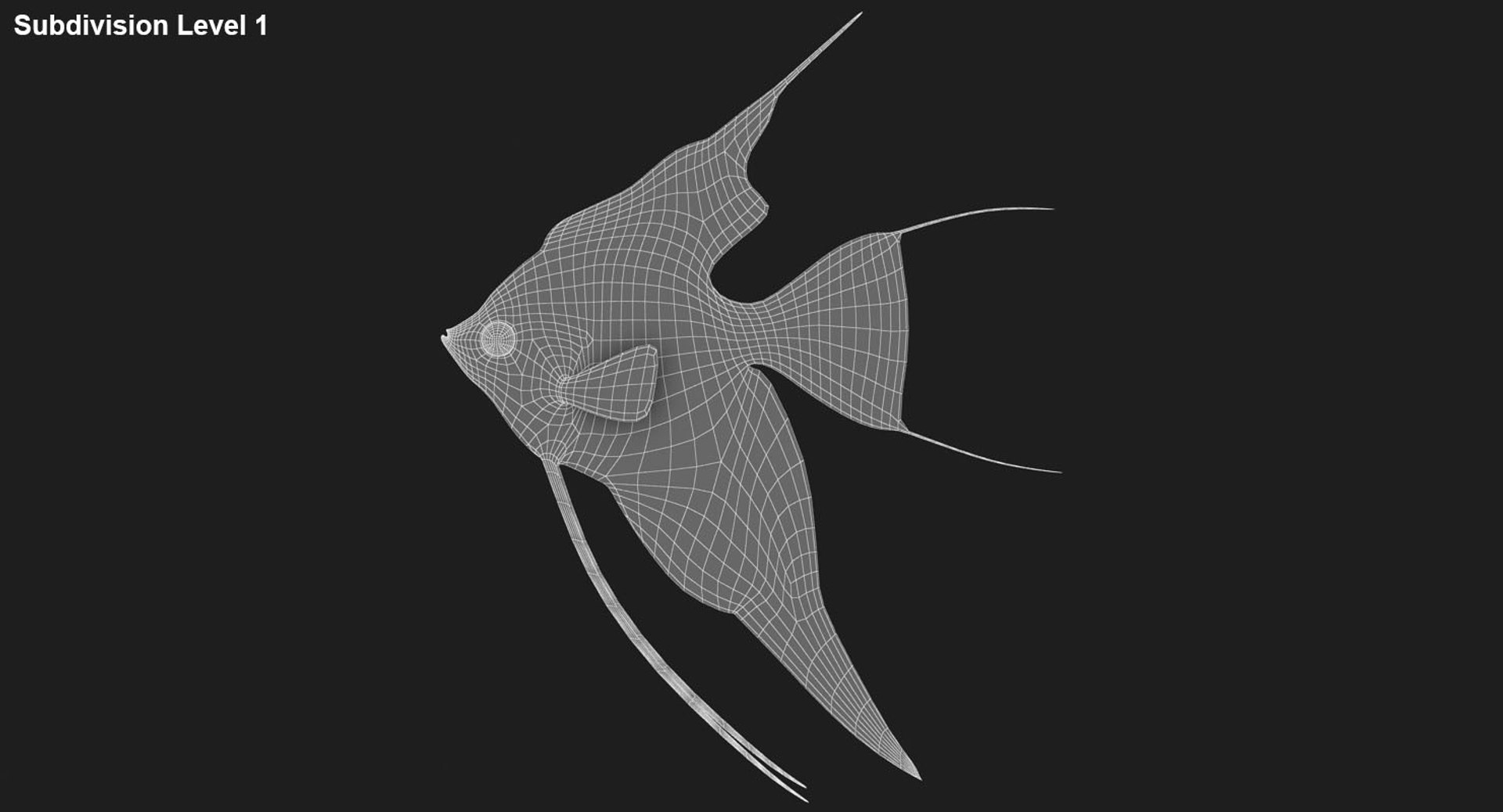 Freshwater Fish 2 Model - TurboSquid 1323583