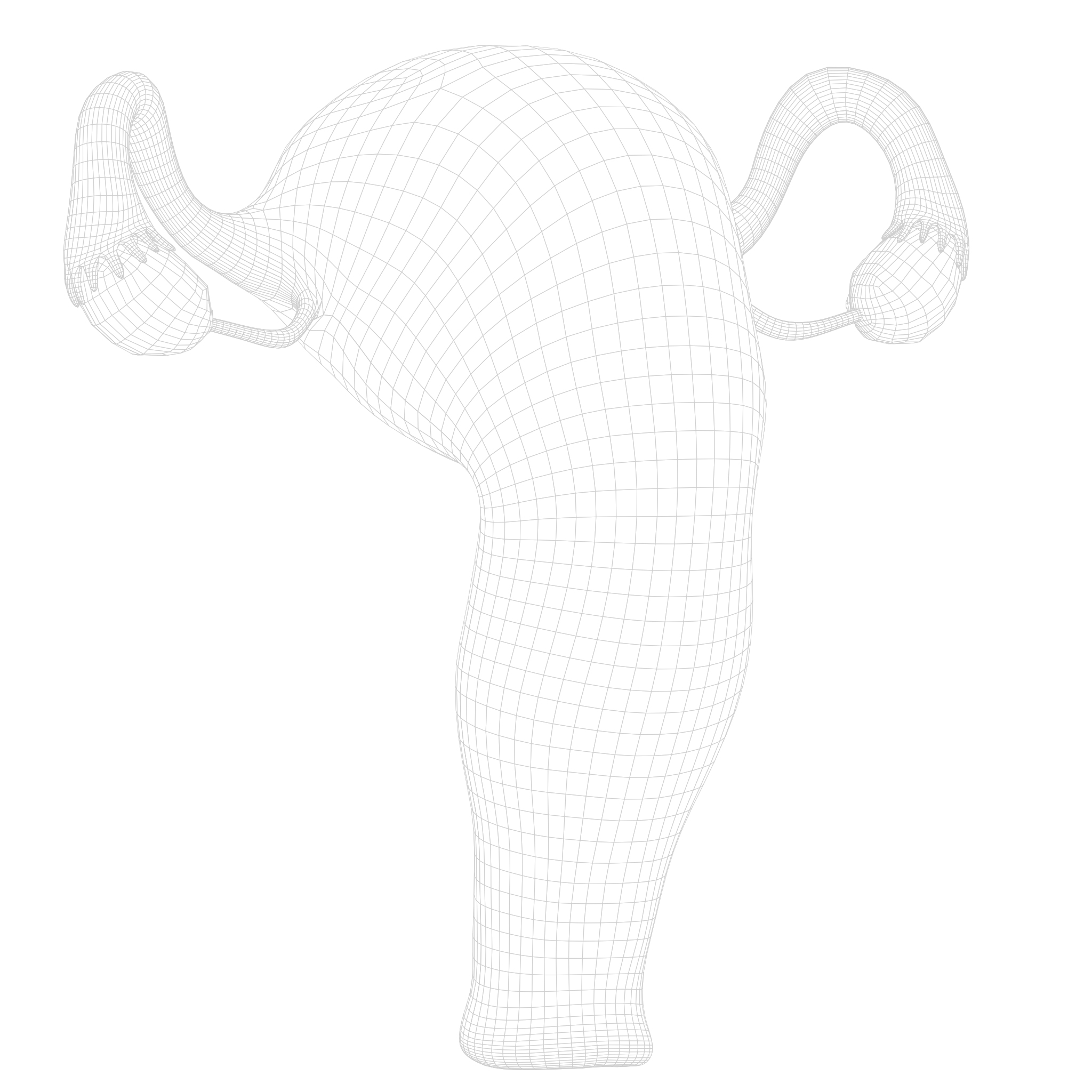 Female Reproductive 3d Model Turbosquid 1564752 