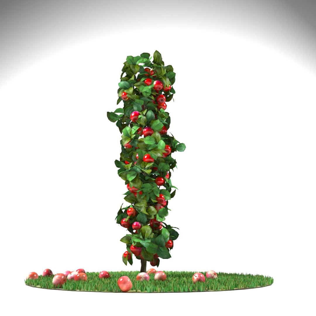 3D column apple tree grass - TurboSquid 1195293