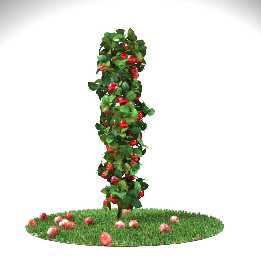 3D column apple tree grass - TurboSquid 1195293