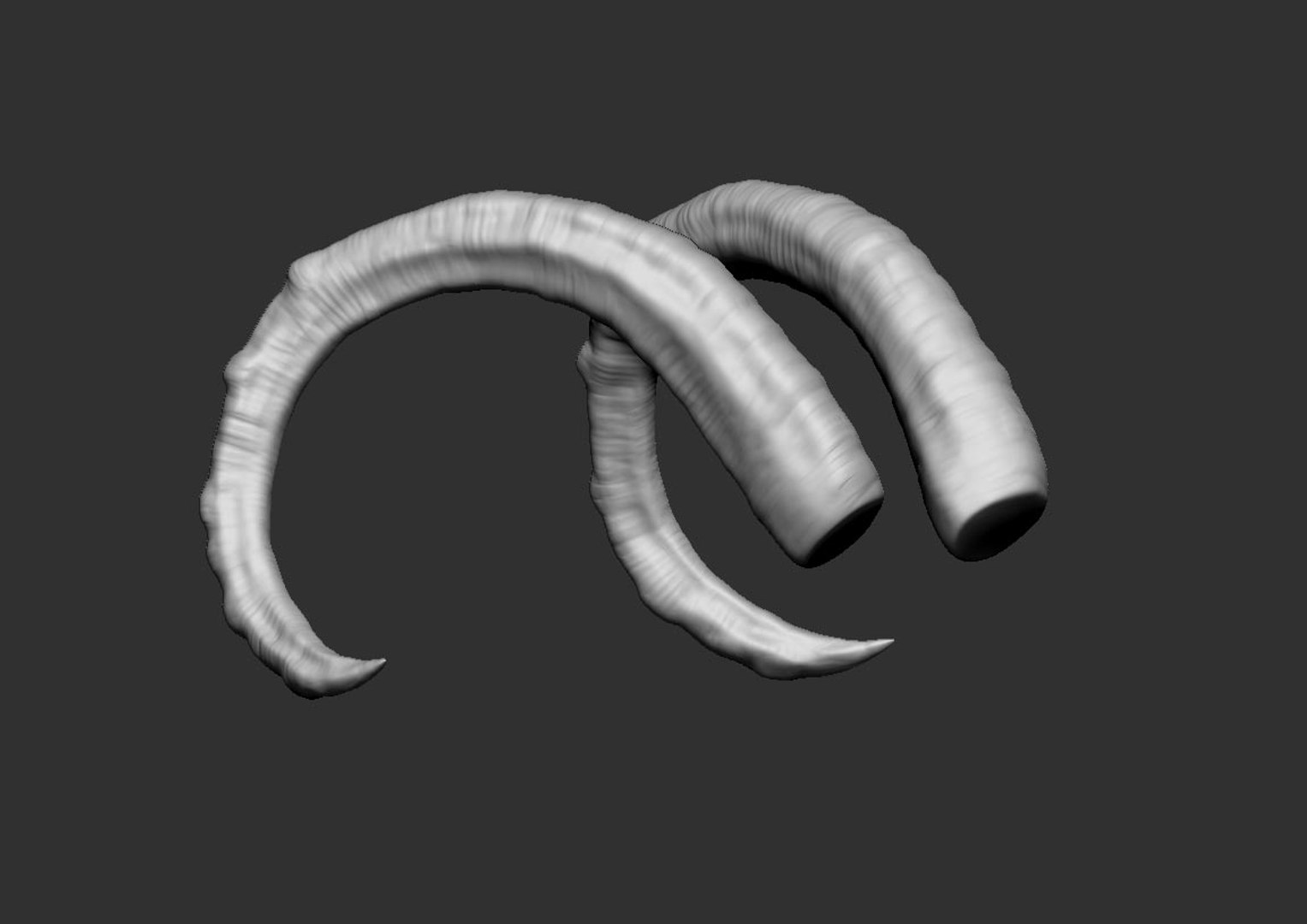 3D Horns Goat - TurboSquid 1537036