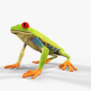 3D Tree Frog Models - Browse & Download Formats - TurboSquid