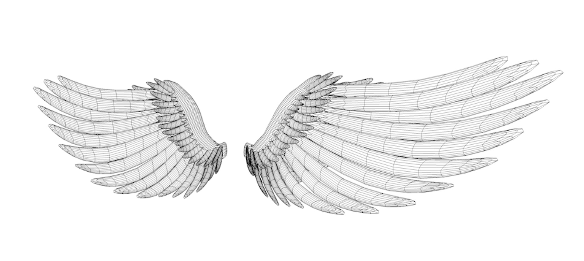 3d Wings Character Feathers Model