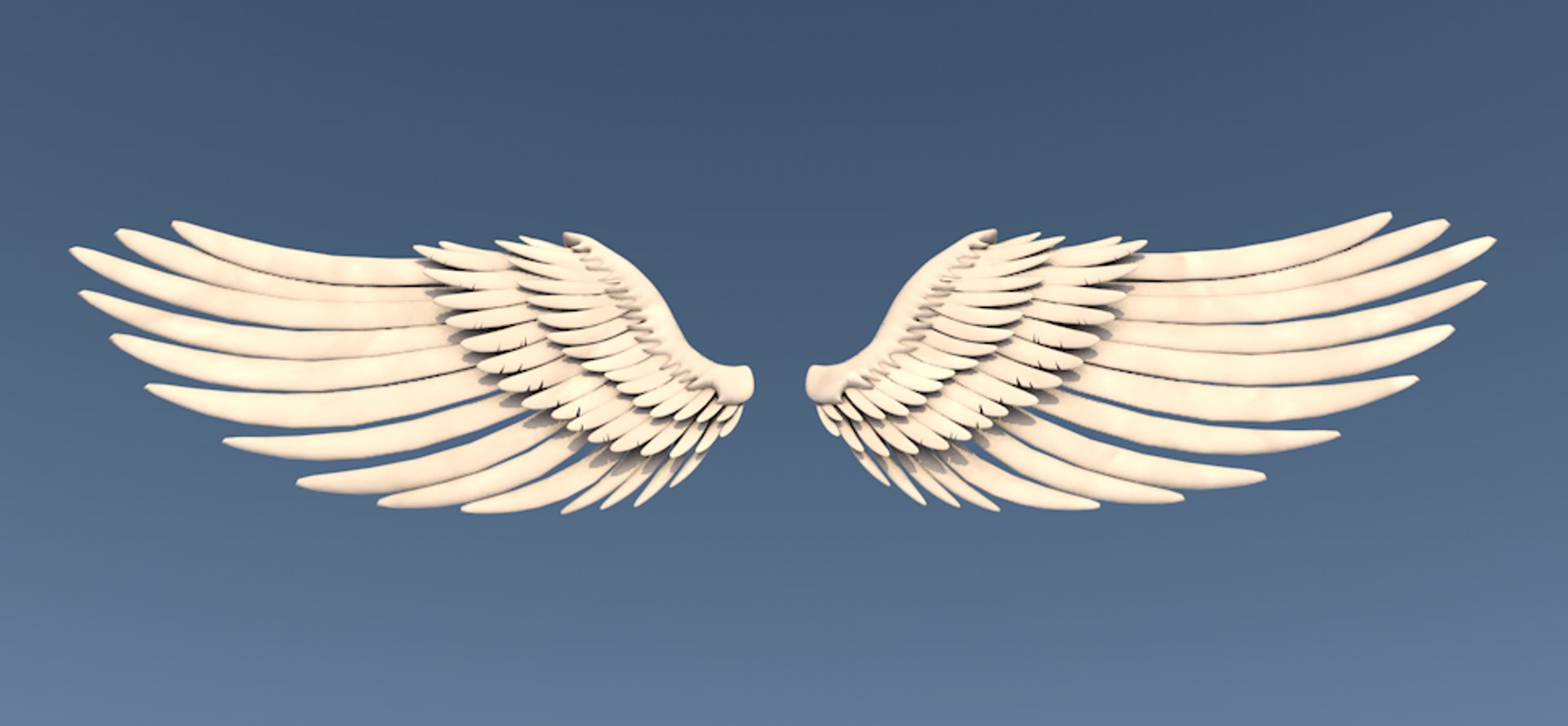 3d Wings Character Feathers Model