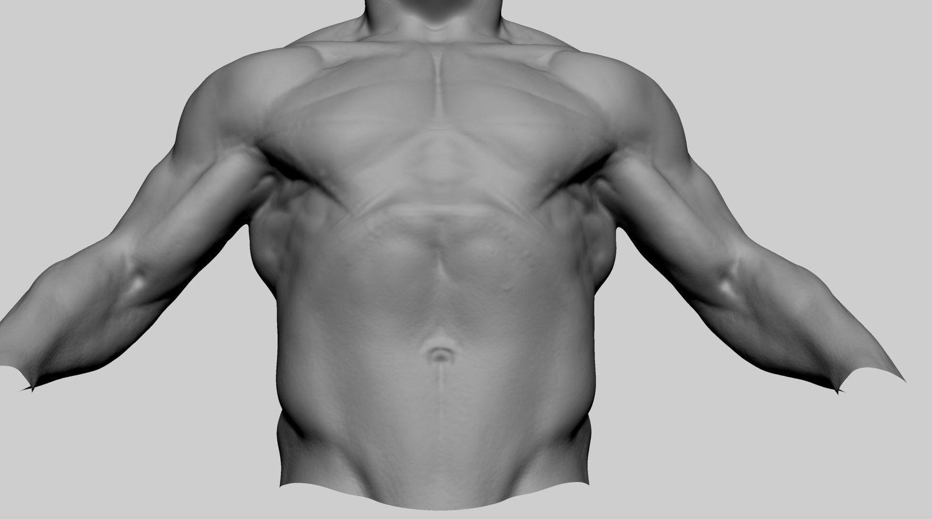 Male Torso B 3D - TurboSquid 1937935