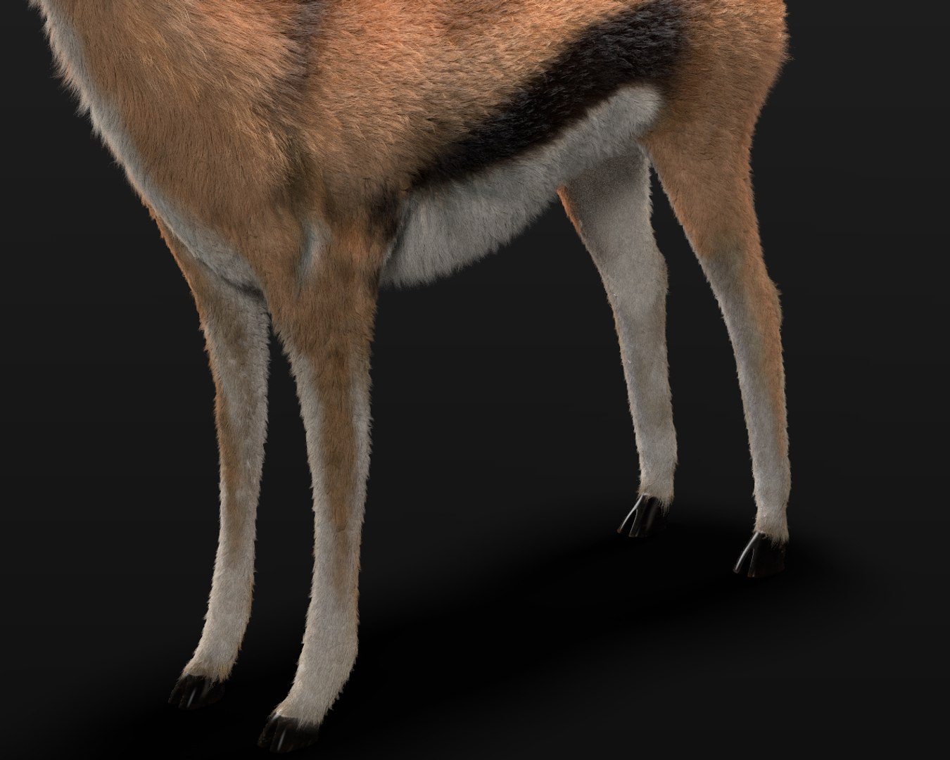 Deer Wildebeest Model - TurboSquid 1543408