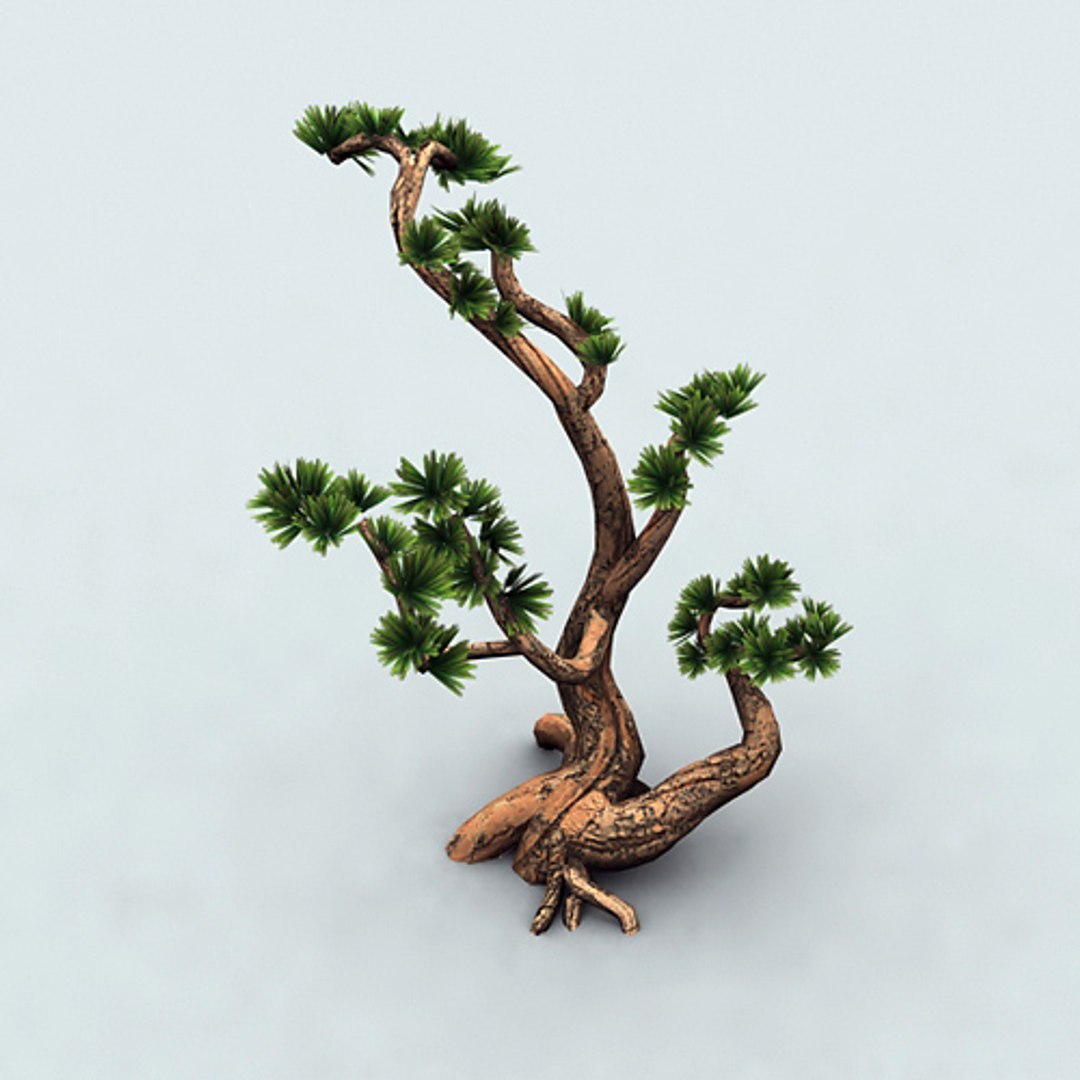 bonsai tree 3d max