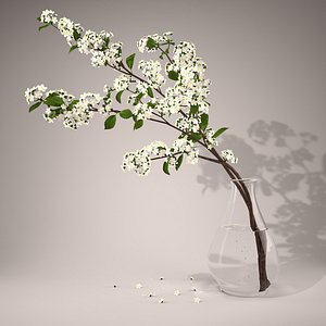 Free 3D Flower Models - Available For Download On TurboSquid