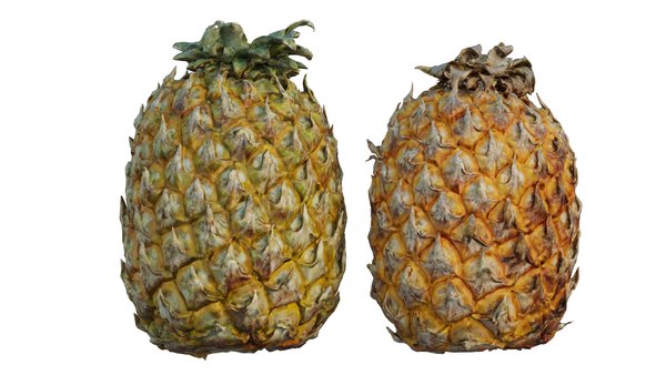 modelo 3d pineapple - TurboSquid 1945660