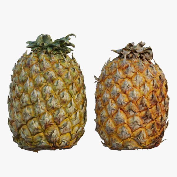 pineapple Modelo 3D - TurboSquid 1945660