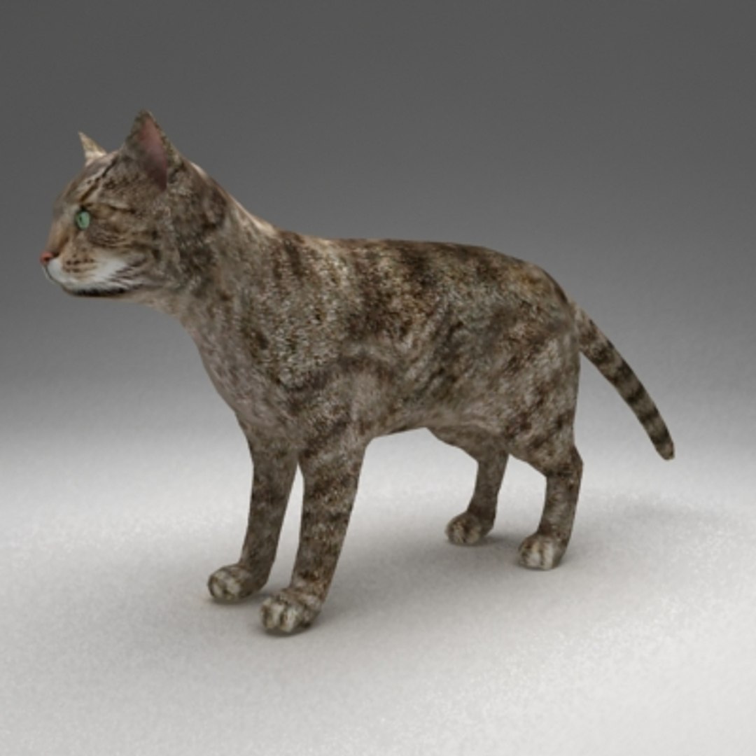 rigged cat 3d model