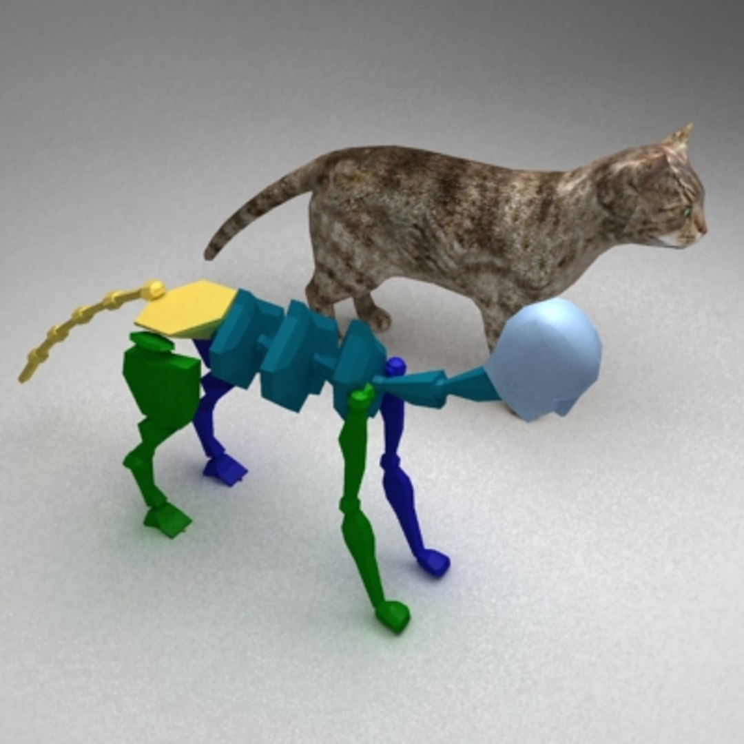 rigged cat 3d model
