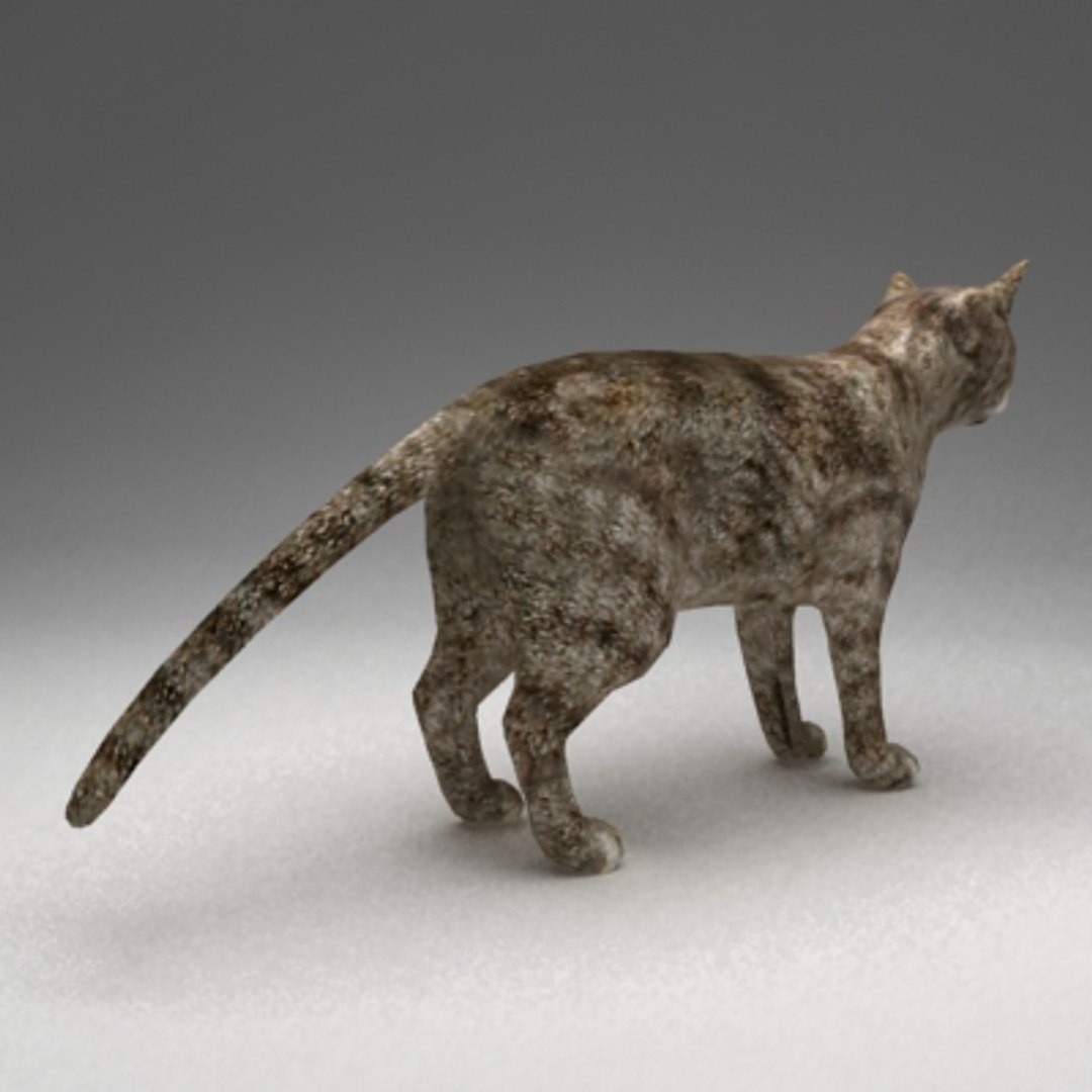 rigged cat 3d model