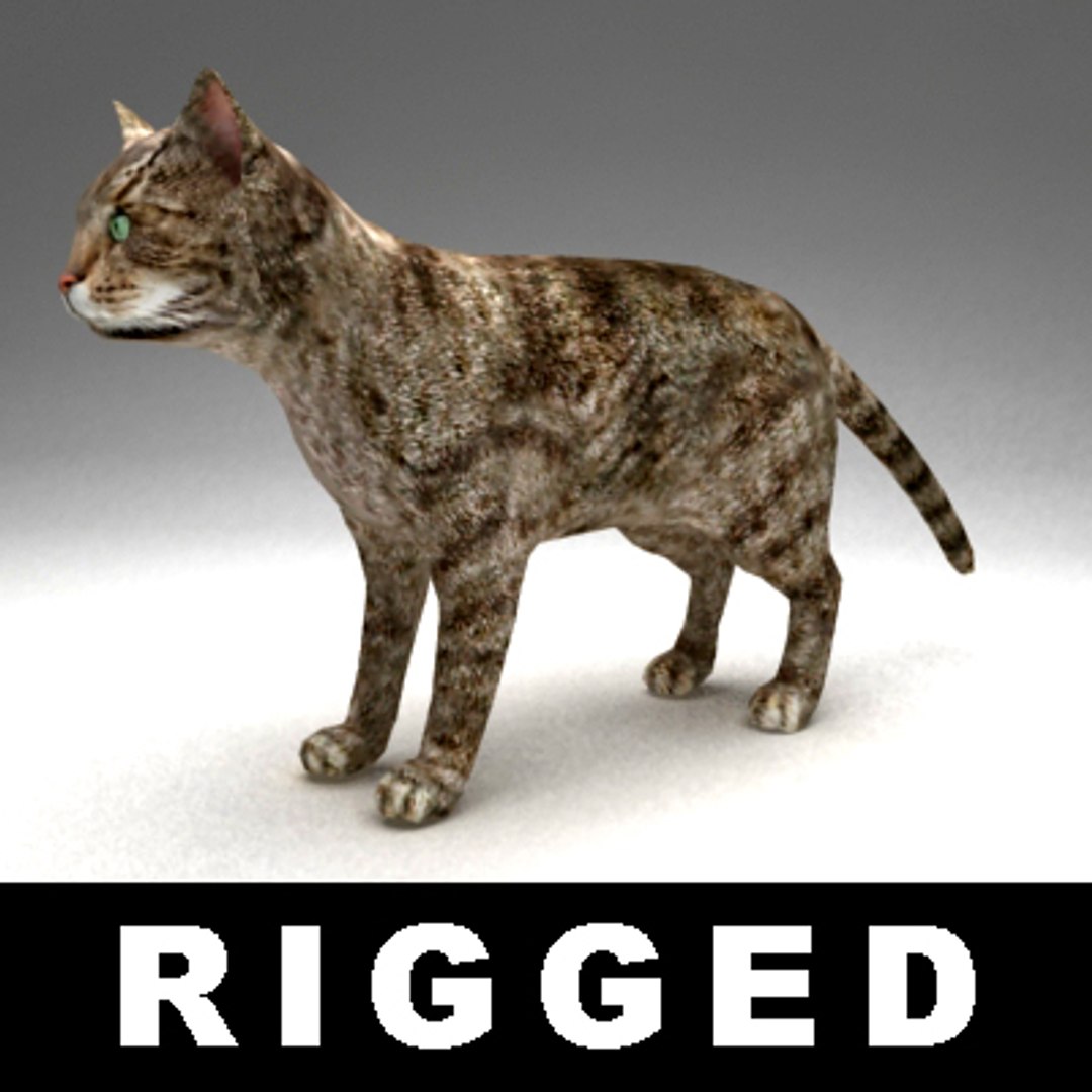 rigged cat 3d model