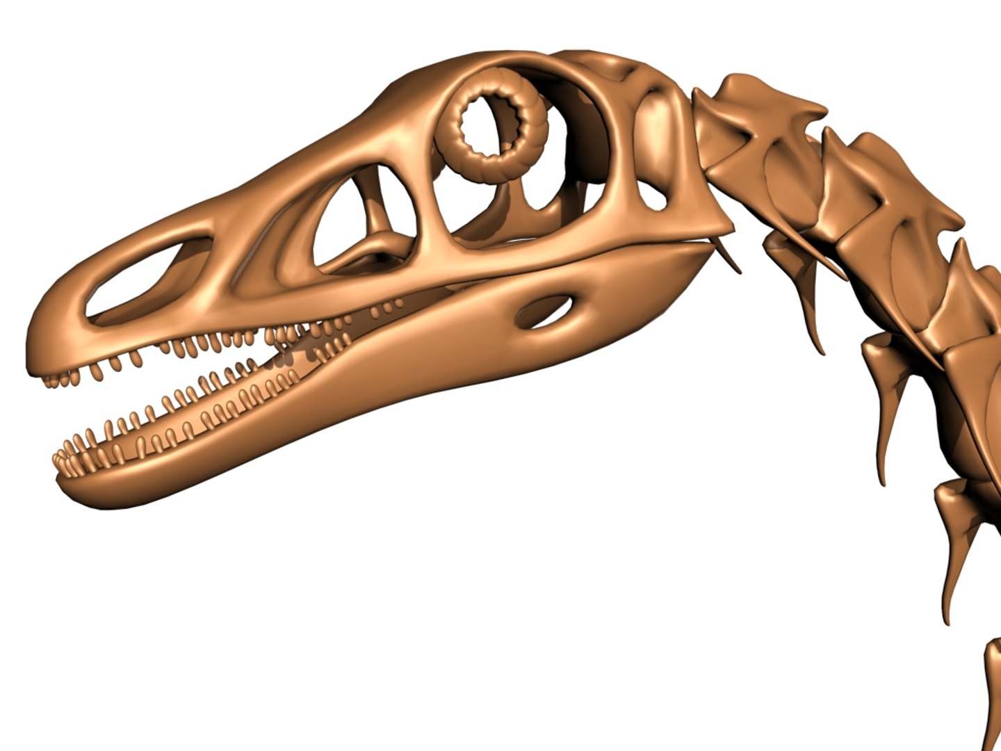 Nothronychus Therizinosaurus Skeleton Bones 3D Model - TurboSquid 1228837